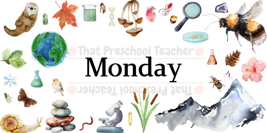 Teacher Trolley Labels - Science Theme - Etsy