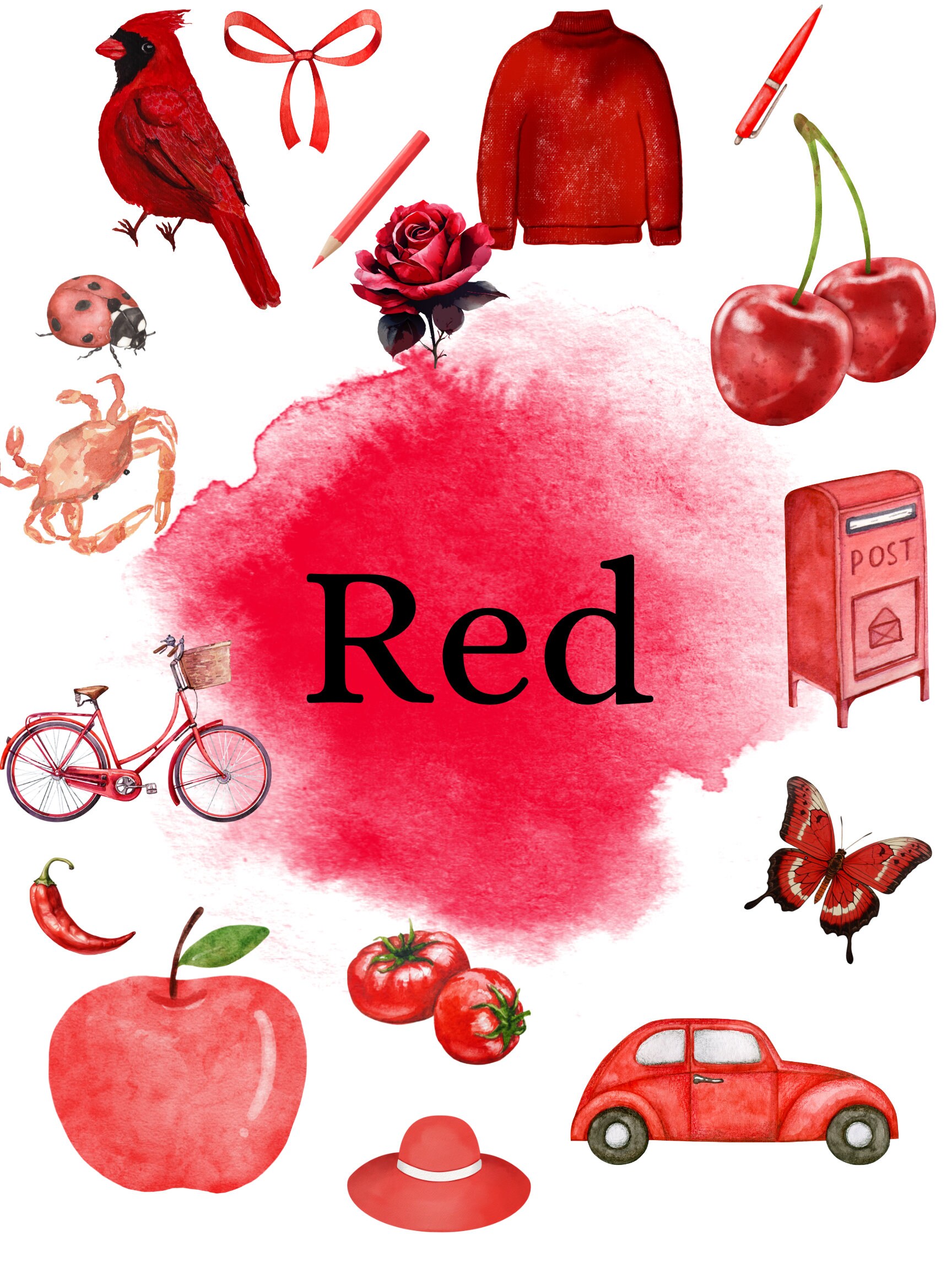 Classroom Color Poster - Etsy