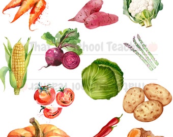 Fruit Classroom Poster - Watercolor - Etsy