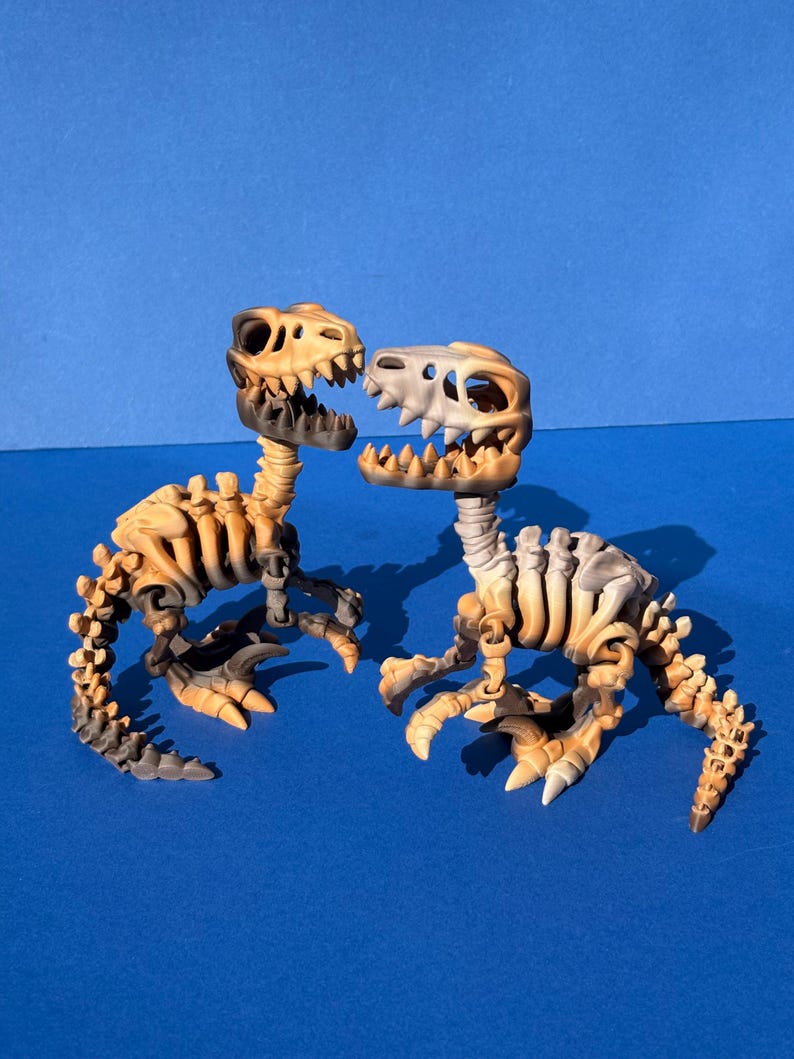 Articulated Velociraptor Skeleton Dinosaur-3d Printed - Etsy UK