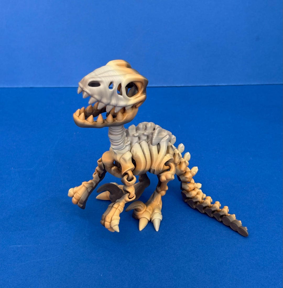 Articulated Velociraptor Skeleton Dinosaur-3d Printed - Etsy UK