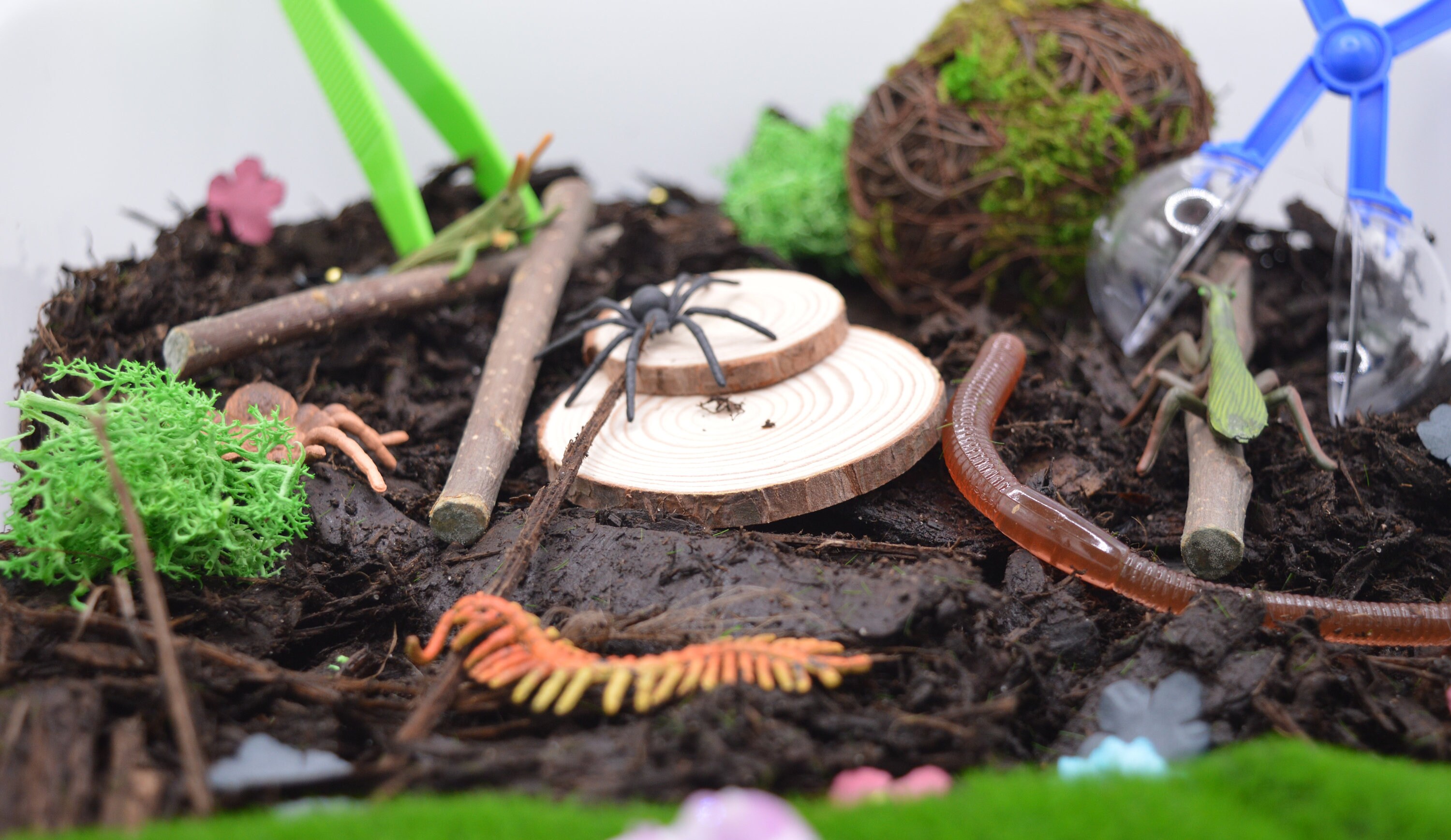 Minibeasts/bug Hunt Sensory Kit - Etsy