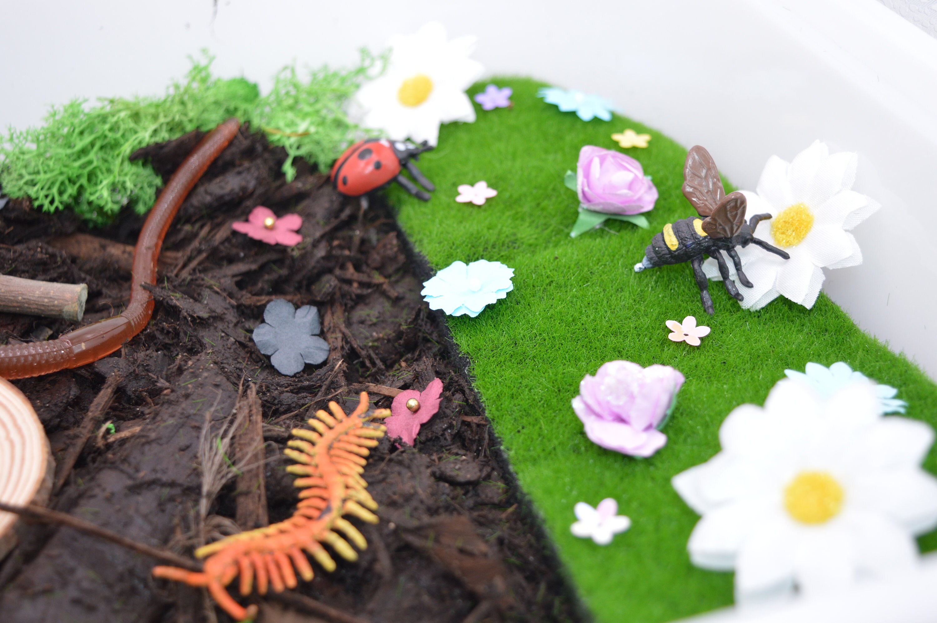 Minibeasts/bug Hunt Sensory Kit - Etsy