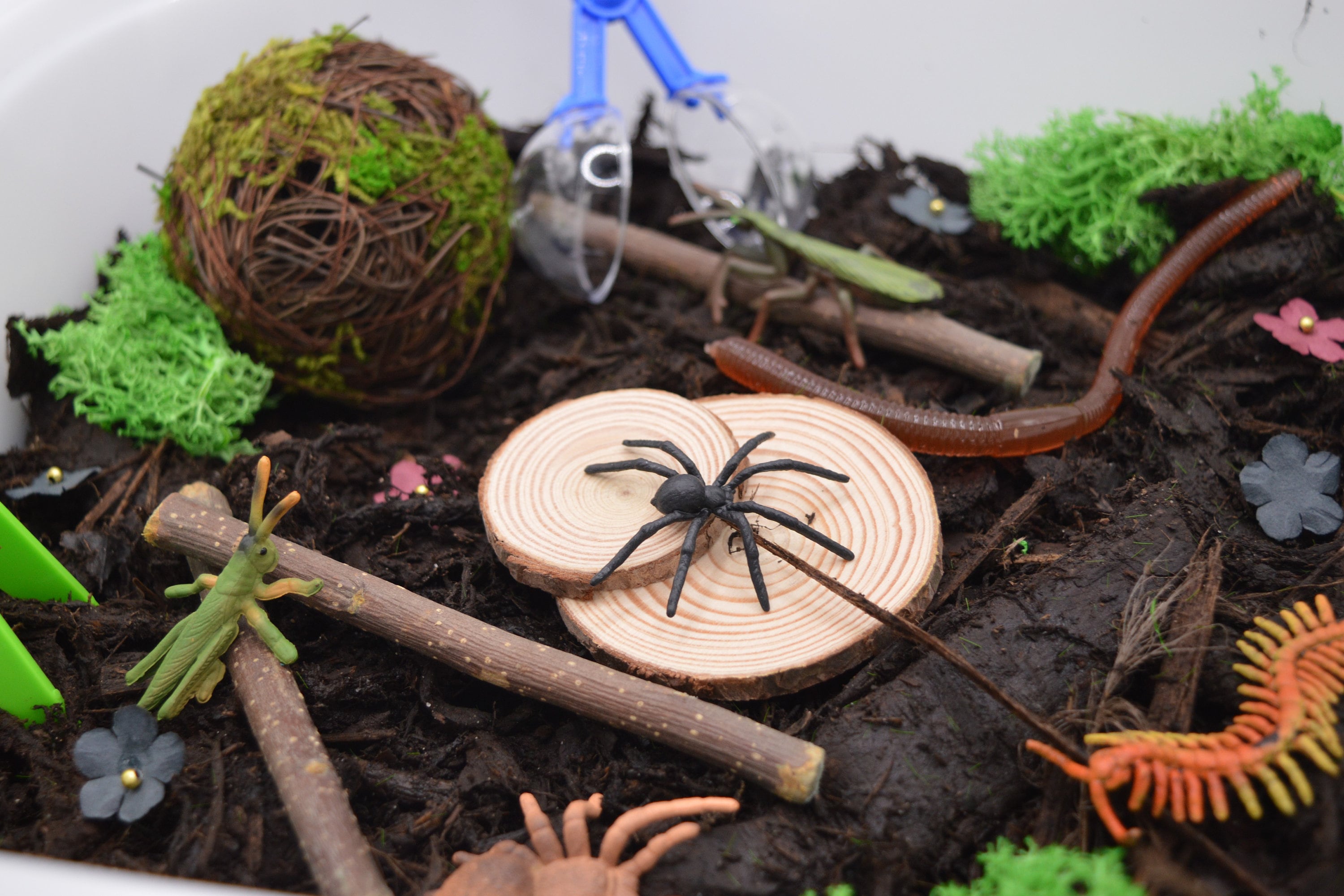 Minibeasts/bug Hunt Sensory Kit - Etsy