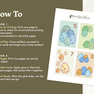 Learn to Count FLASHCARDS for Kids - Counting EGGS - Cute ...