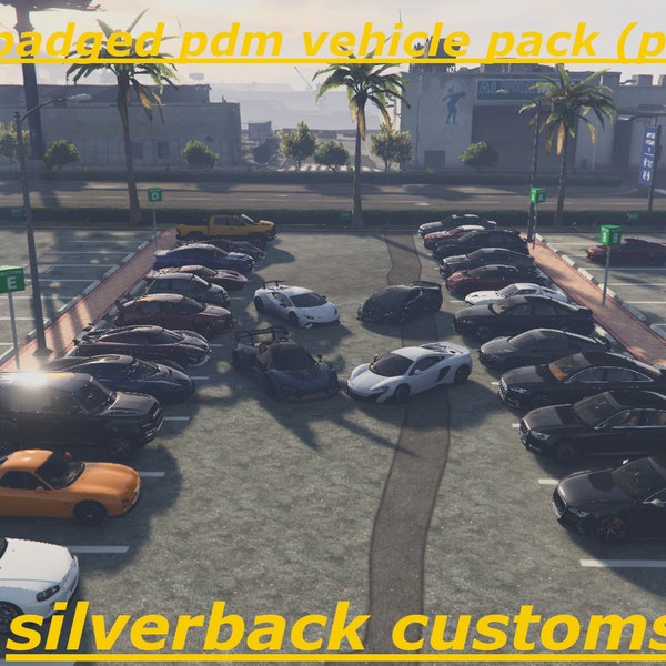 Fivem Debadged Pack - Etsy