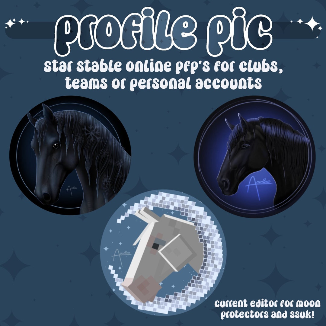 Star Stable Online PFP SSO Profile Photo Edit Club, Team or Personal ...
