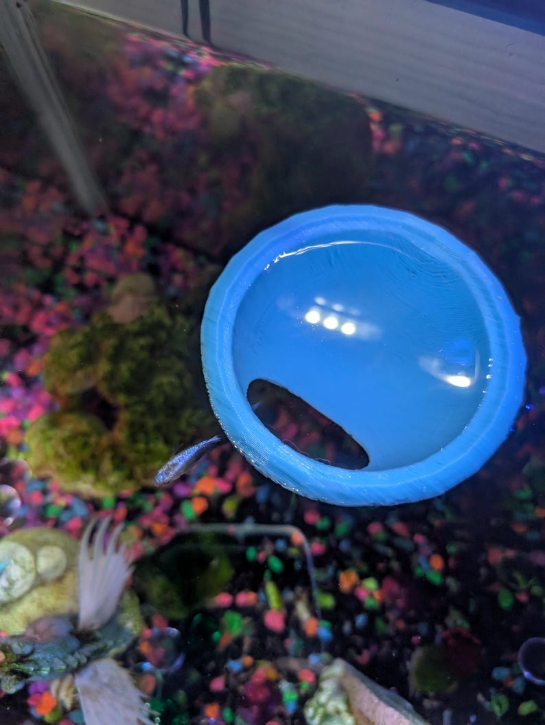 Custom Floating Fish Tank Hide – Personalized Aquarium Decoration (up ...