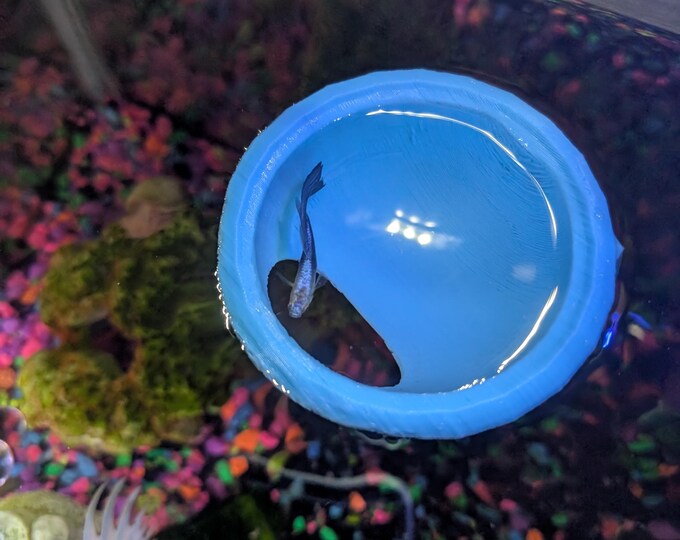 Custom Floating Fish Tank Hide – Personalized Aquarium Decoration (up ...