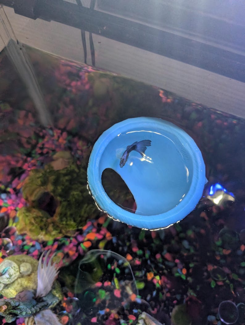 Custom Floating Fish Tank Hide – Personalized Aquarium Decoration (up ...