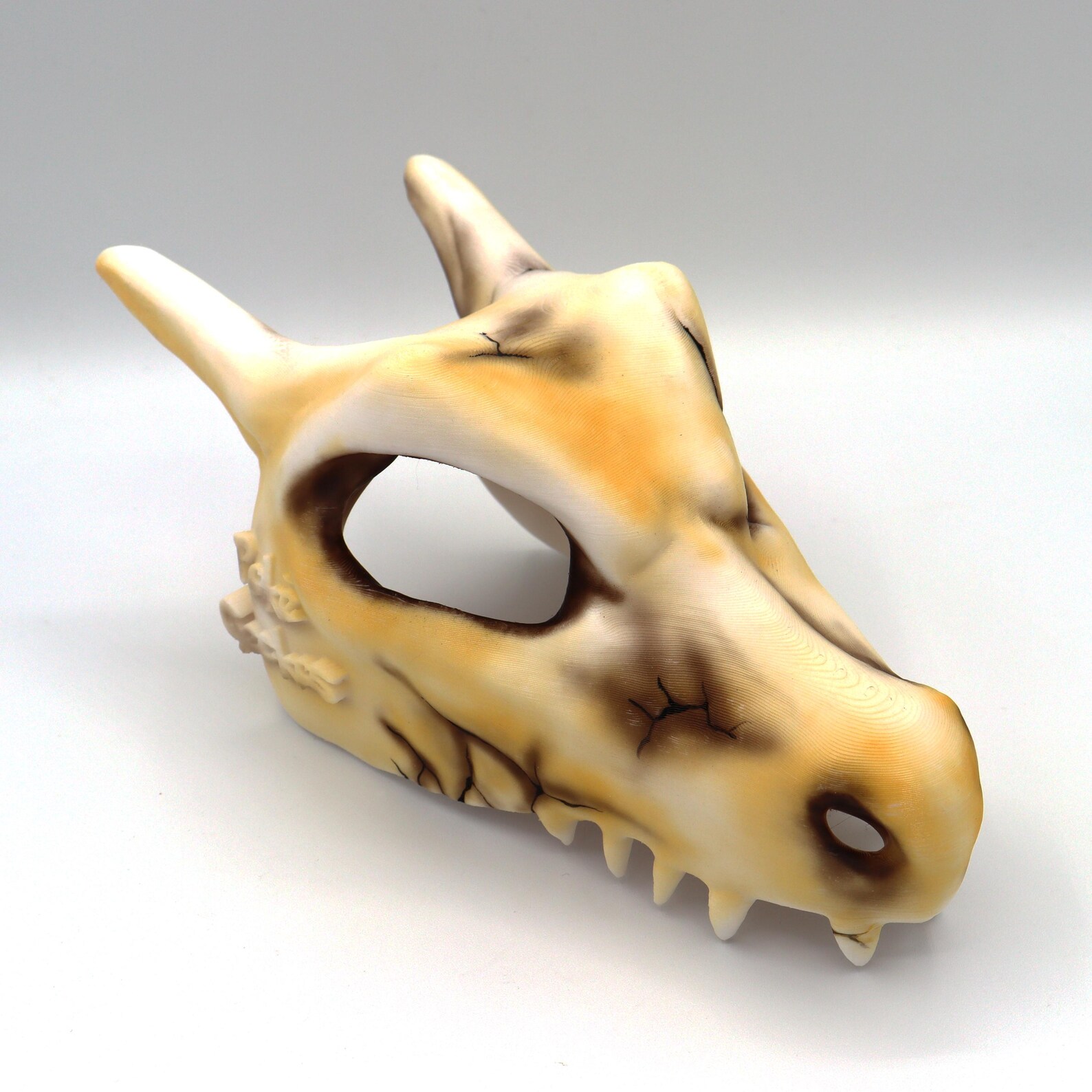 Charizard Skull Hide – Pokemon Reptile Terrarium Cave Decor - Etsy
