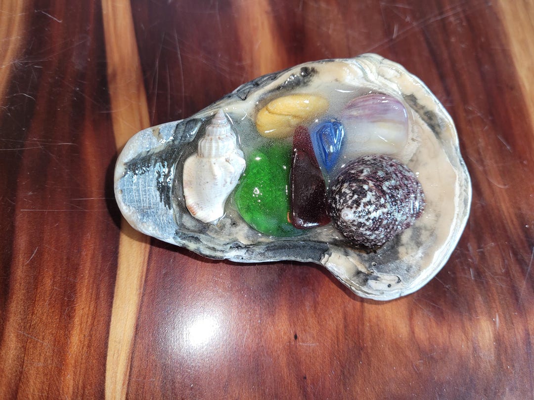 Outer Banks Seashell Art Clusters Stacks Unique Assorted Shells and Sea ...