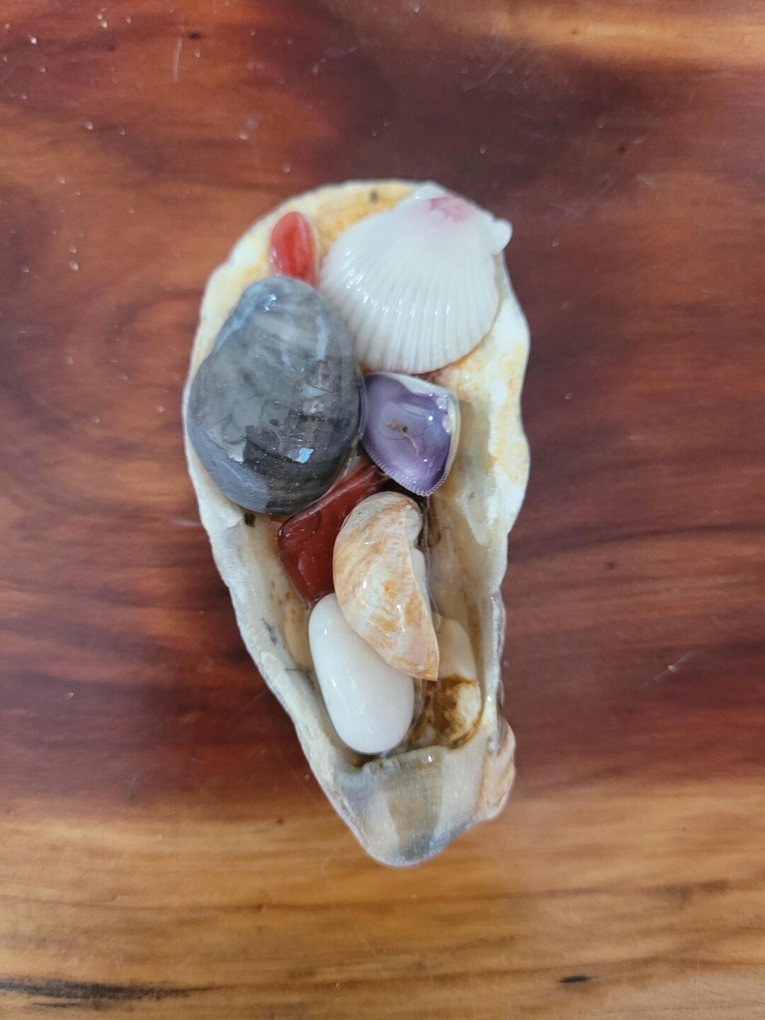 Ocean Treasures: Handcrafted Shell Art From the Outer Banks – Three ...