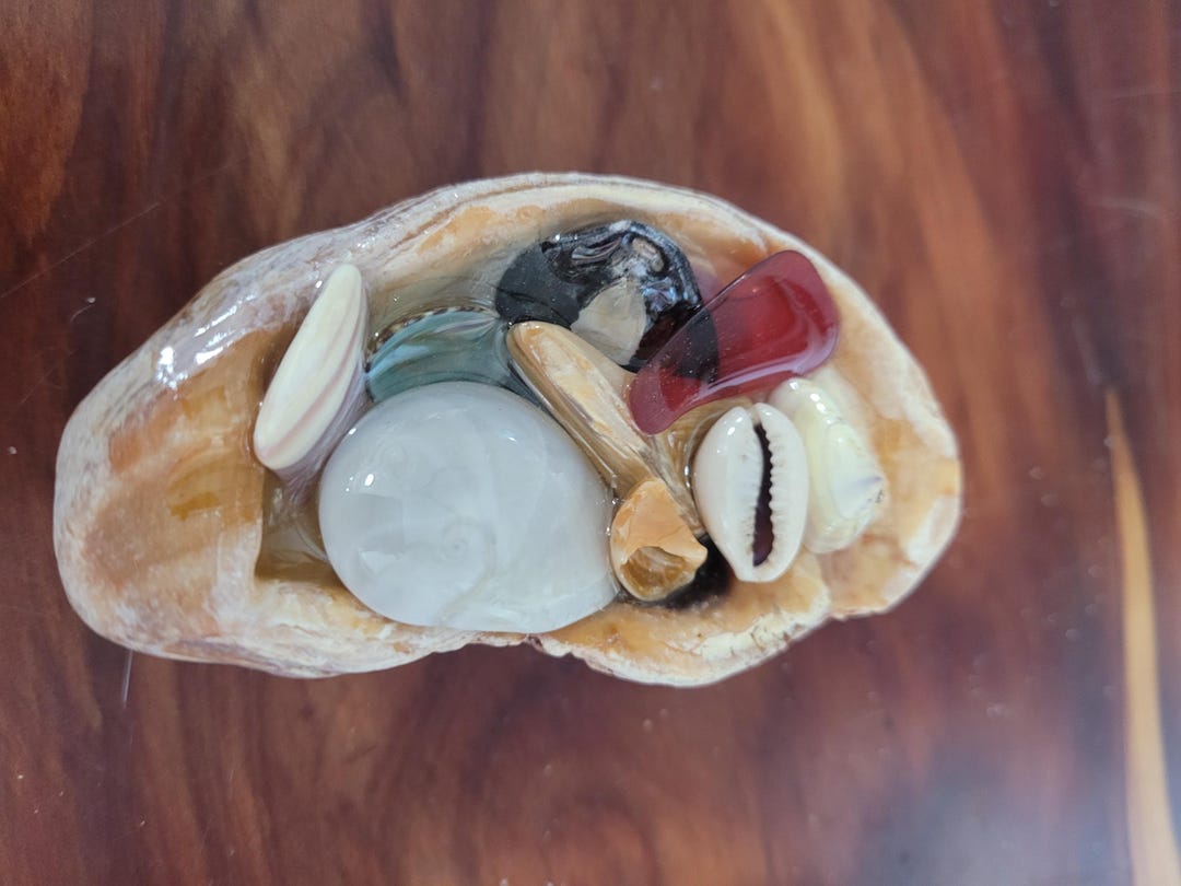 Ocean Treasures: Handcrafted Shell Art From the Outer Banks – Three ...