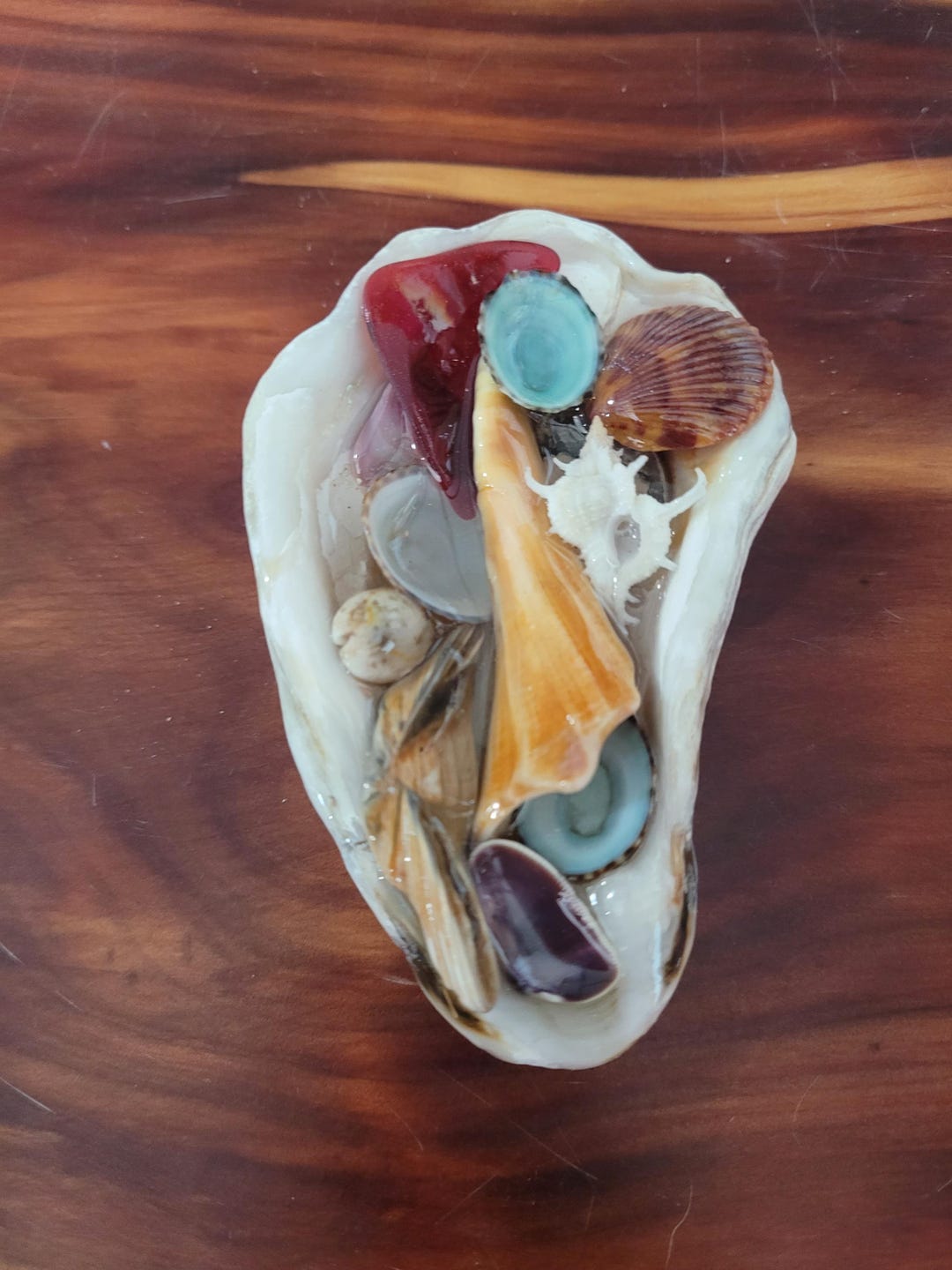 Ocean Treasures: Handcrafted Shell Art From the Outer Banks – Three ...