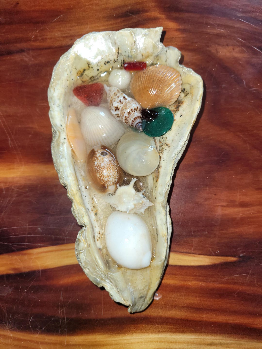 Outer Banks Seashell Art Clusters Stacks Unique Assorted Shells and Sea ...