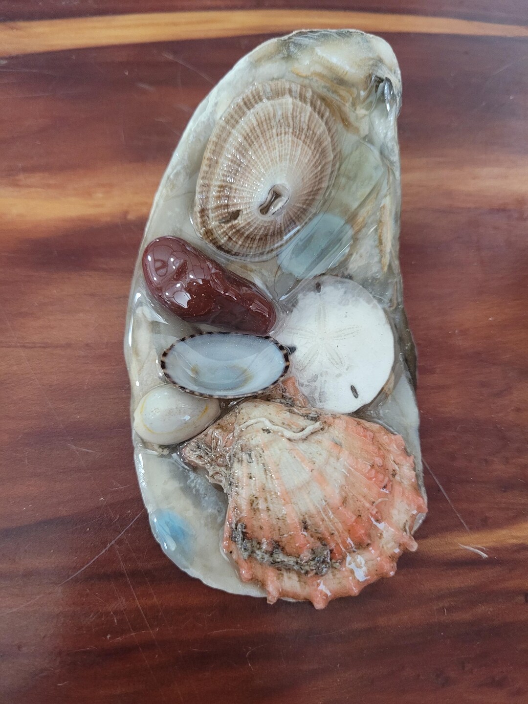 Ocean Treasures: Handcrafted Shell Art From the Outer Banks – Three ...