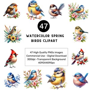 47 Pngs Watercolor Birds Clipart Bundle, Spring Birds Clipart, Birds ...