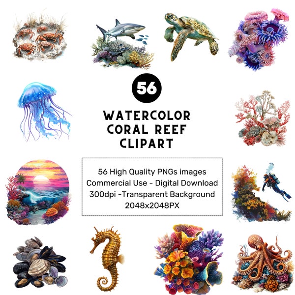 Underwater Graphics - Etsy