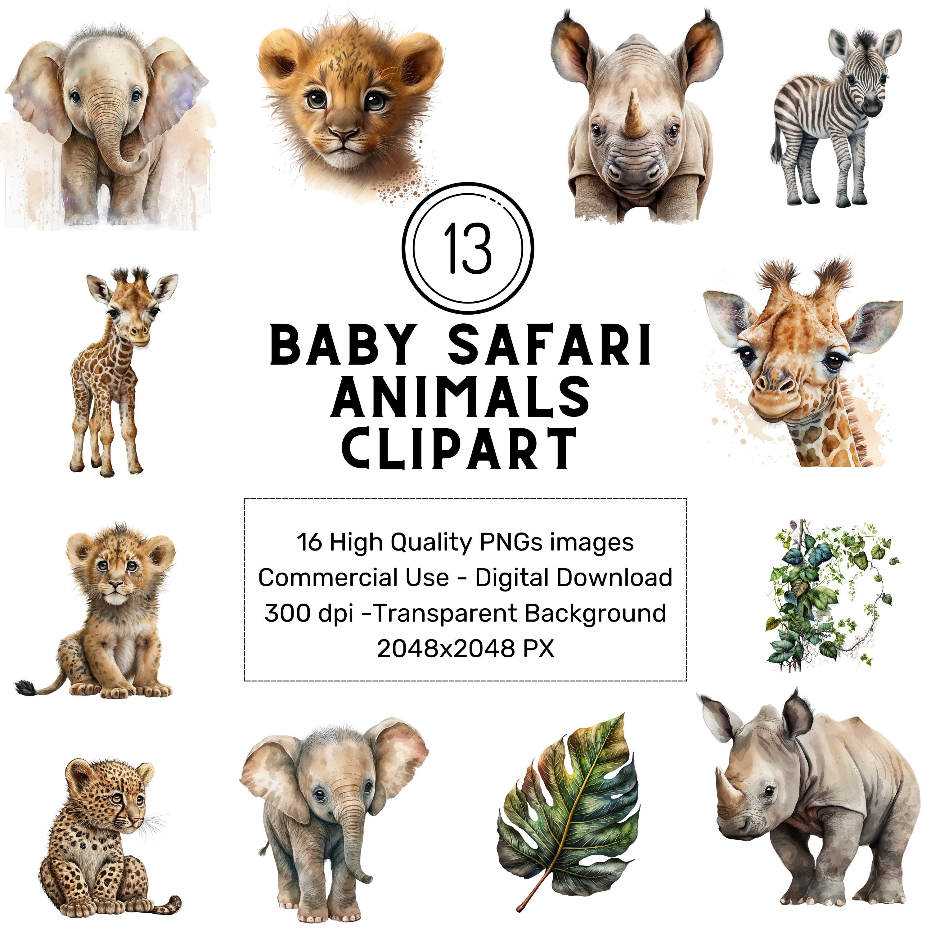 Baby Safari Animals Clipart High Quality Jpgs, Watercolor Safari ...