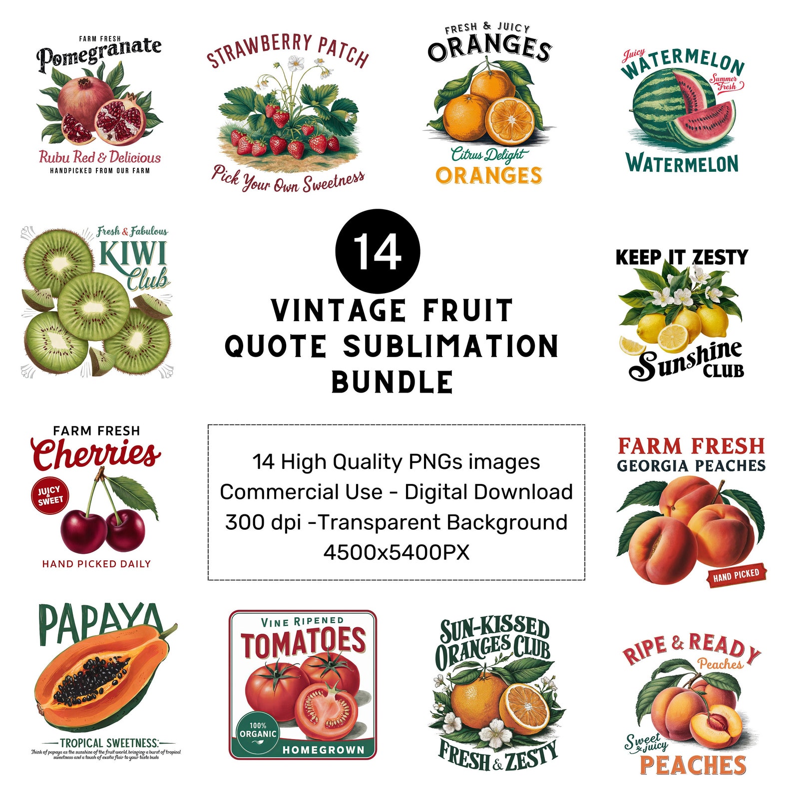 14 Pngs, Vintage FRUITS Clipart, Digital Download PNG Fruits Vintage ...