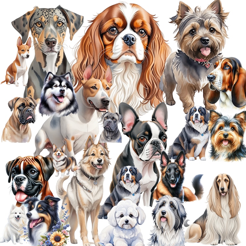 100 Dog Breeds Clipart Bundle, 101 PNG, Pet, German Shepherd, French ...