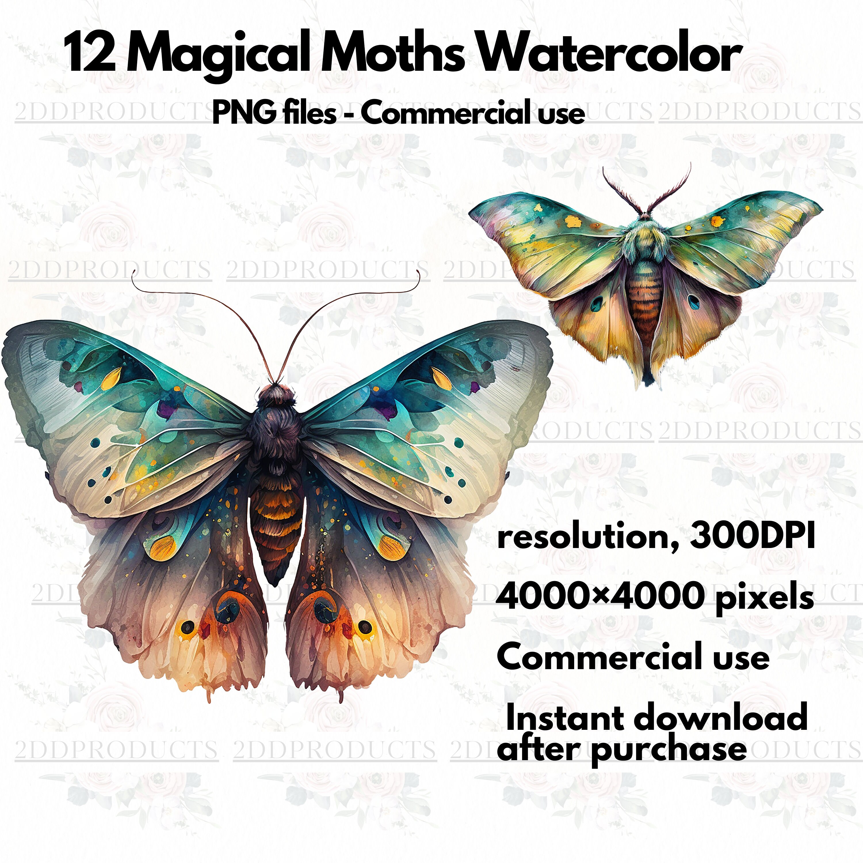 Magical Moths Watercolor Clipart, Moths Fantasy Style, Magical Clipart ...