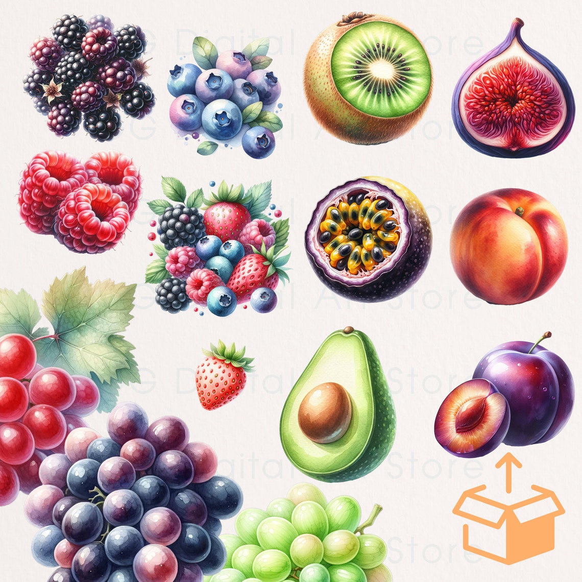 Fruit Watercolor Clipart Set Fresh Illustrations for Invitations ...