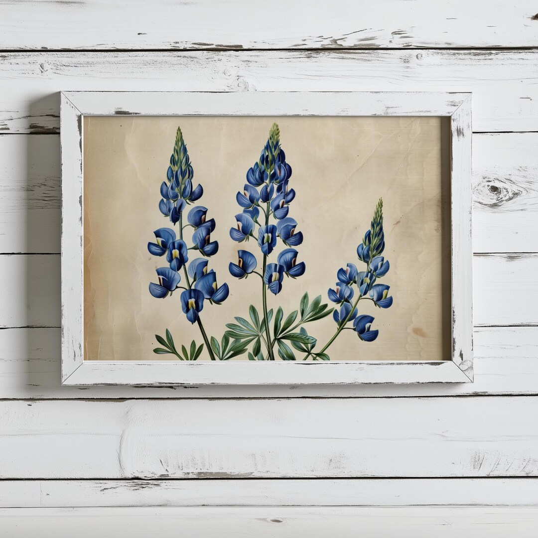 Retro Texas Bluebonnet Botanical Print - Vintage Floral Wall Art for ...