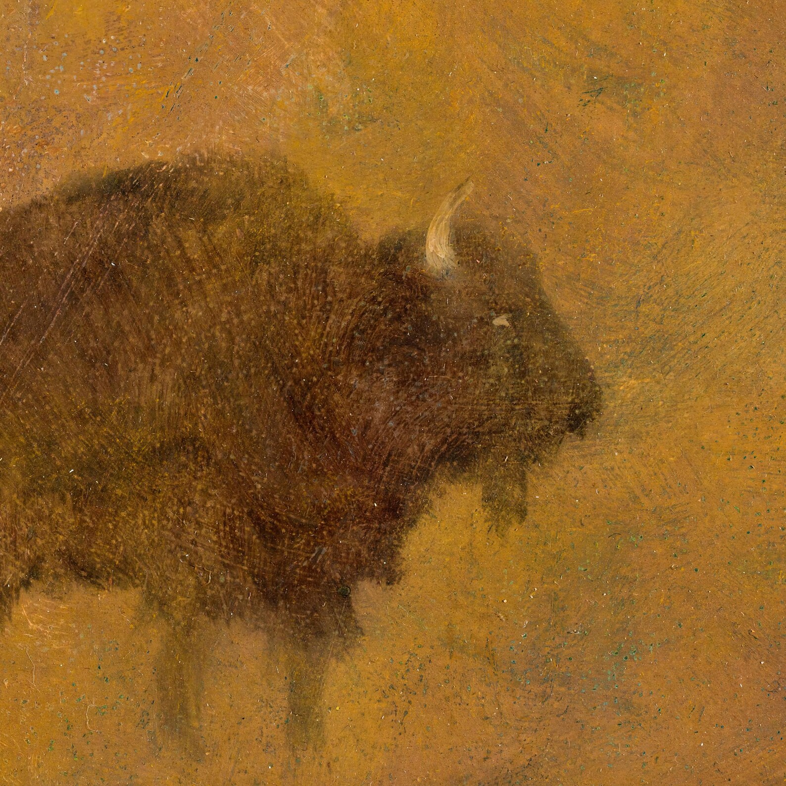 Buffalo in Sandstorm Art Print: Vintage Western Wildlife Painting - Etsy