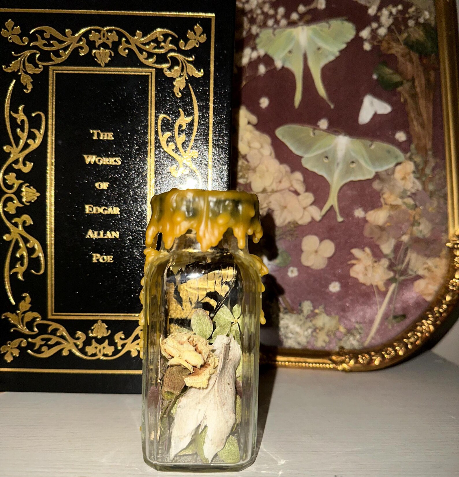 Oddity Jar With Bones and Butterfly Wings - Etsy