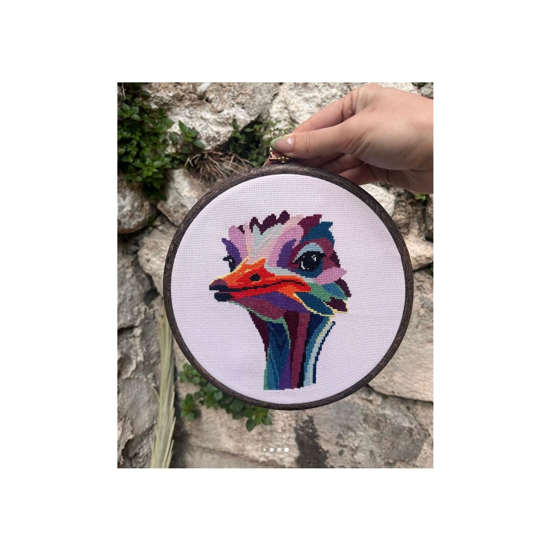 Handmade Ostrich Cross-stitch Wall Hanging in Embroidery Hoop - Etsy