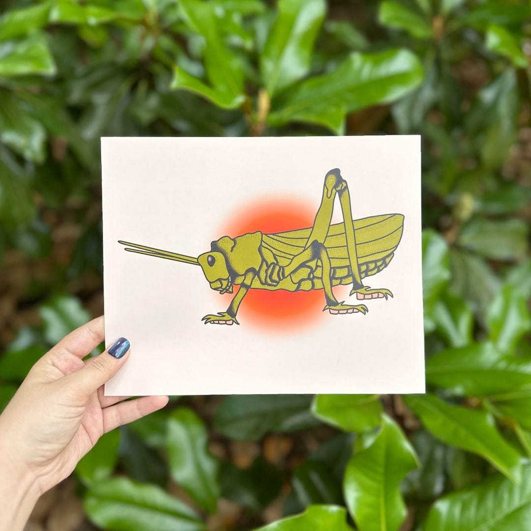 Grasshopper Print | 8 X 10 | Ready to Frame | Entomology Gift | Insect ...