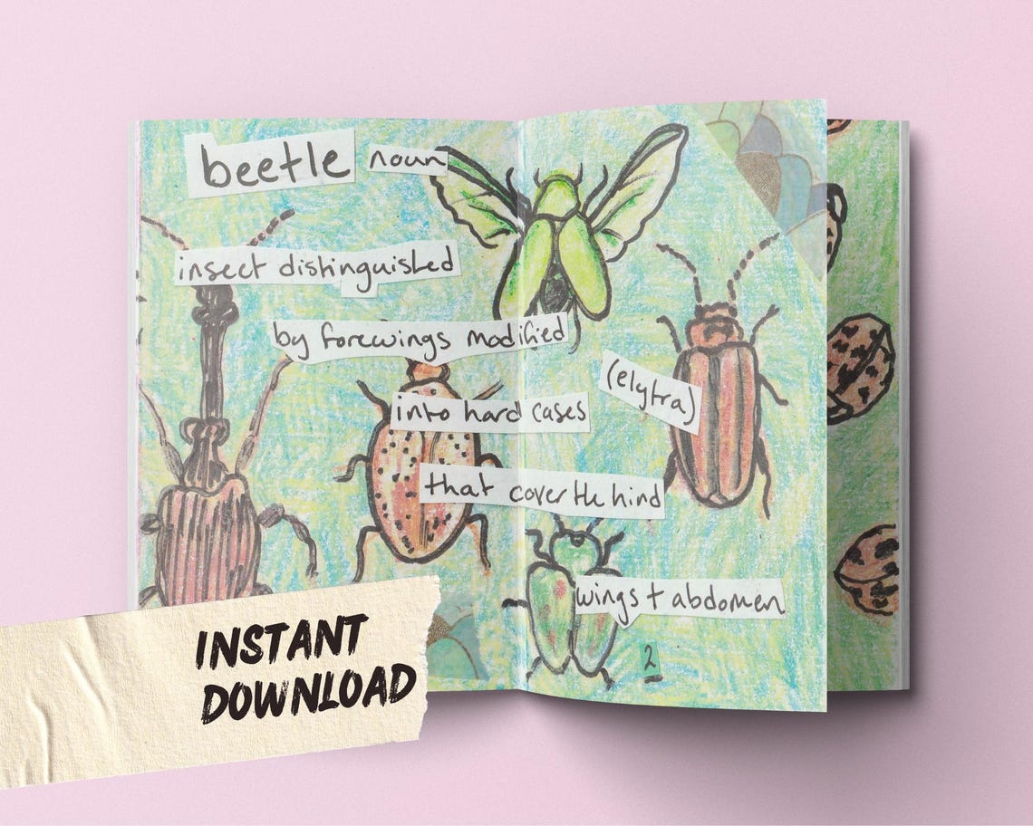 PRINTABLE A Very Brief Summation of Beetles | Instant Download | Mini ...