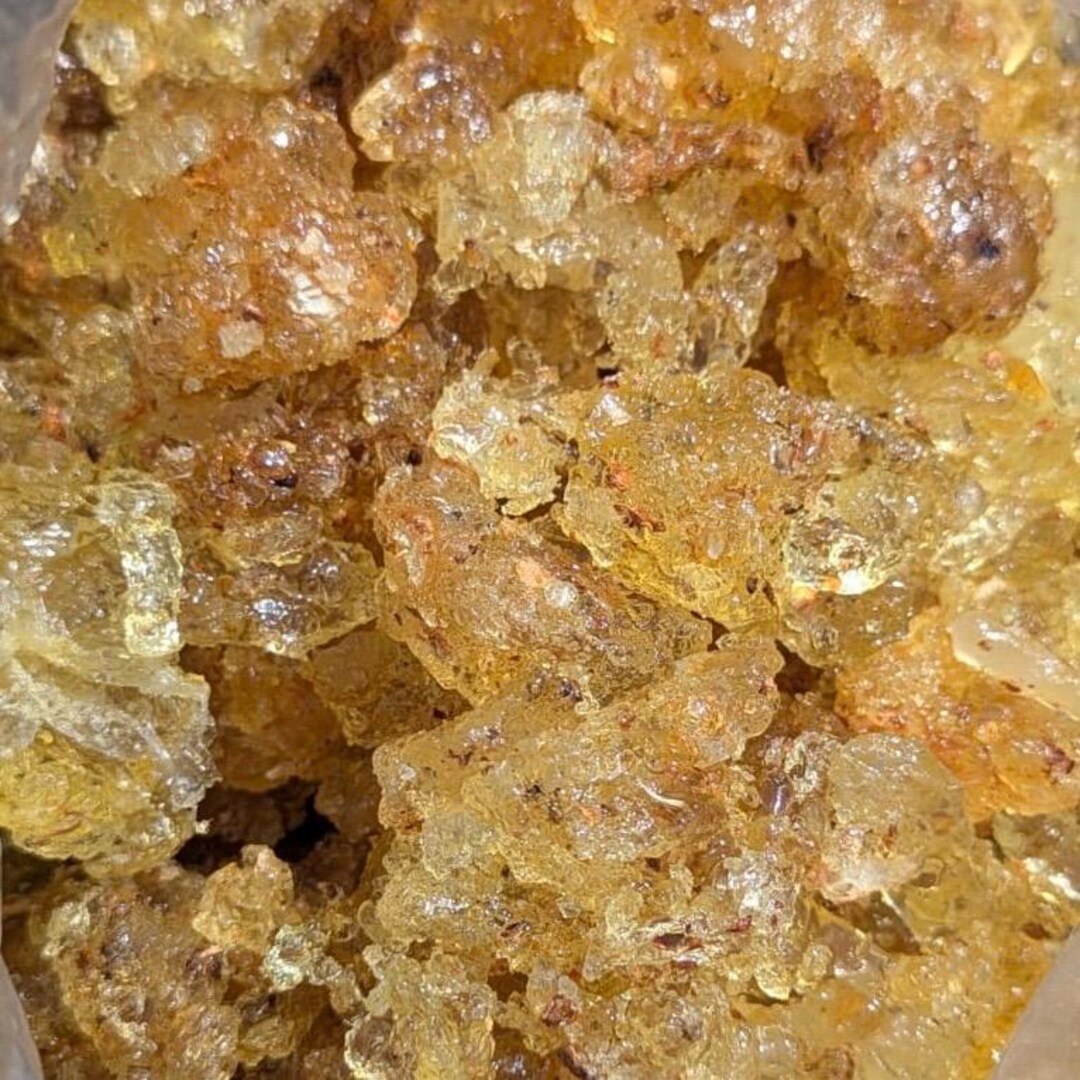 Hand-harvested "bursera Heliae" Rare Copal Resin 100% Natural Citrus ...