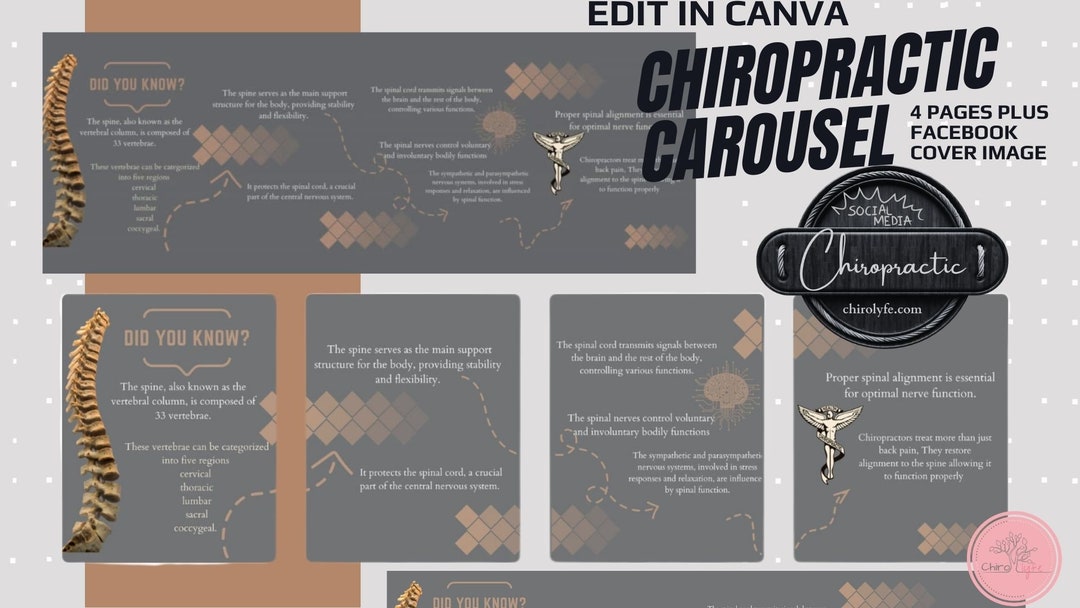 4 Page Spinal Column Digital Carousel for Chiropractors Educational ...