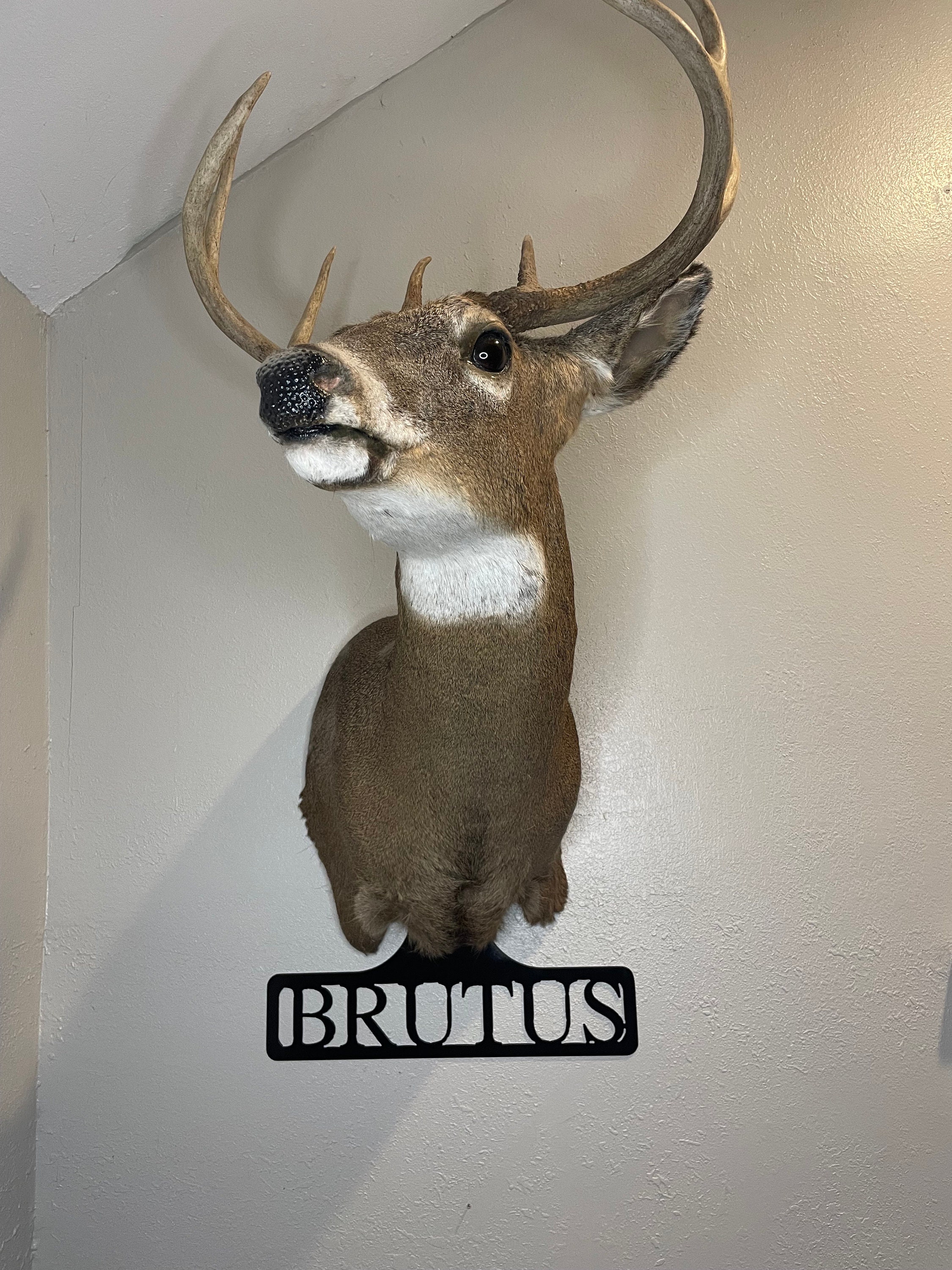 Customizable Metal Deer Mount Name Plate or Year Placard - Etsy