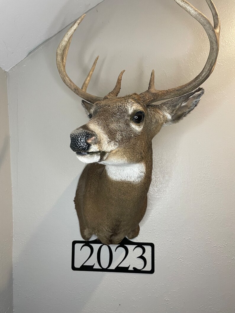 Customizable Metal Deer Mount Name Plate or Year Placard - Etsy