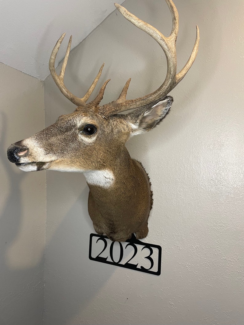 Customizable Metal Deer Mount Name Plate or Year Placard - Etsy