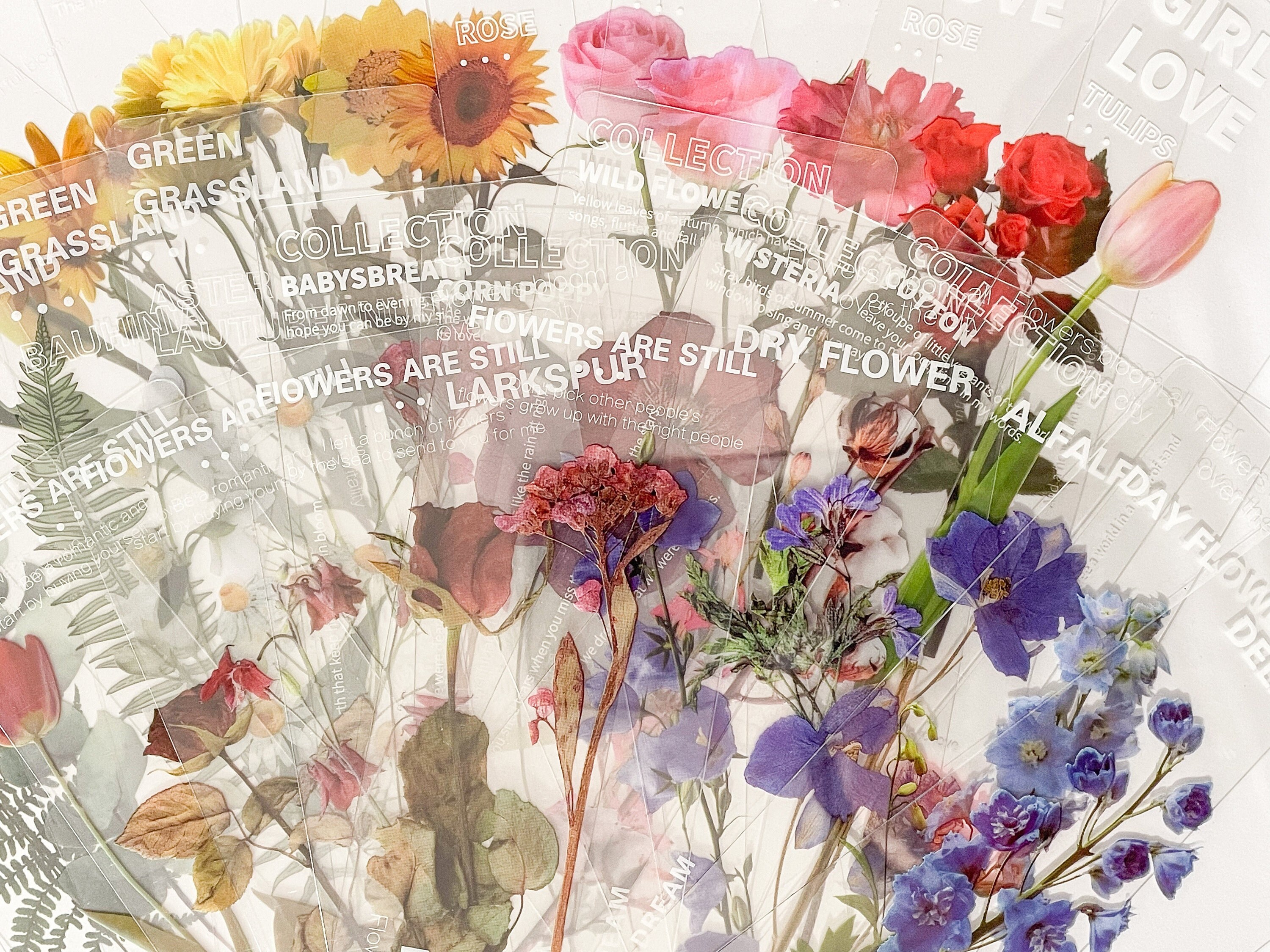 10 Transparent Flower Bookmark PET Unique Botanical Page Marker for ...