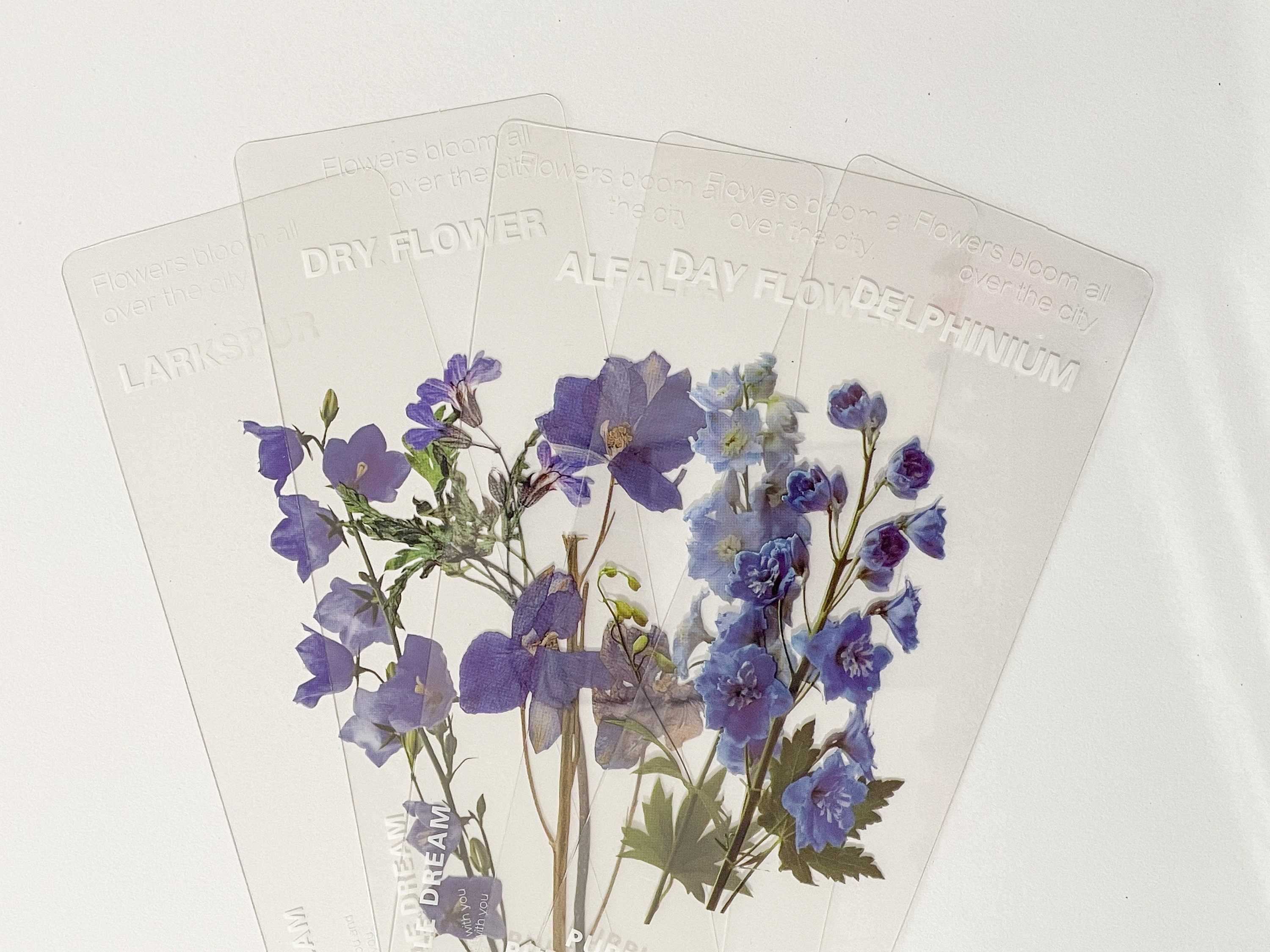 10 Transparent Flower Bookmark PET Unique Botanical Page Marker for ...