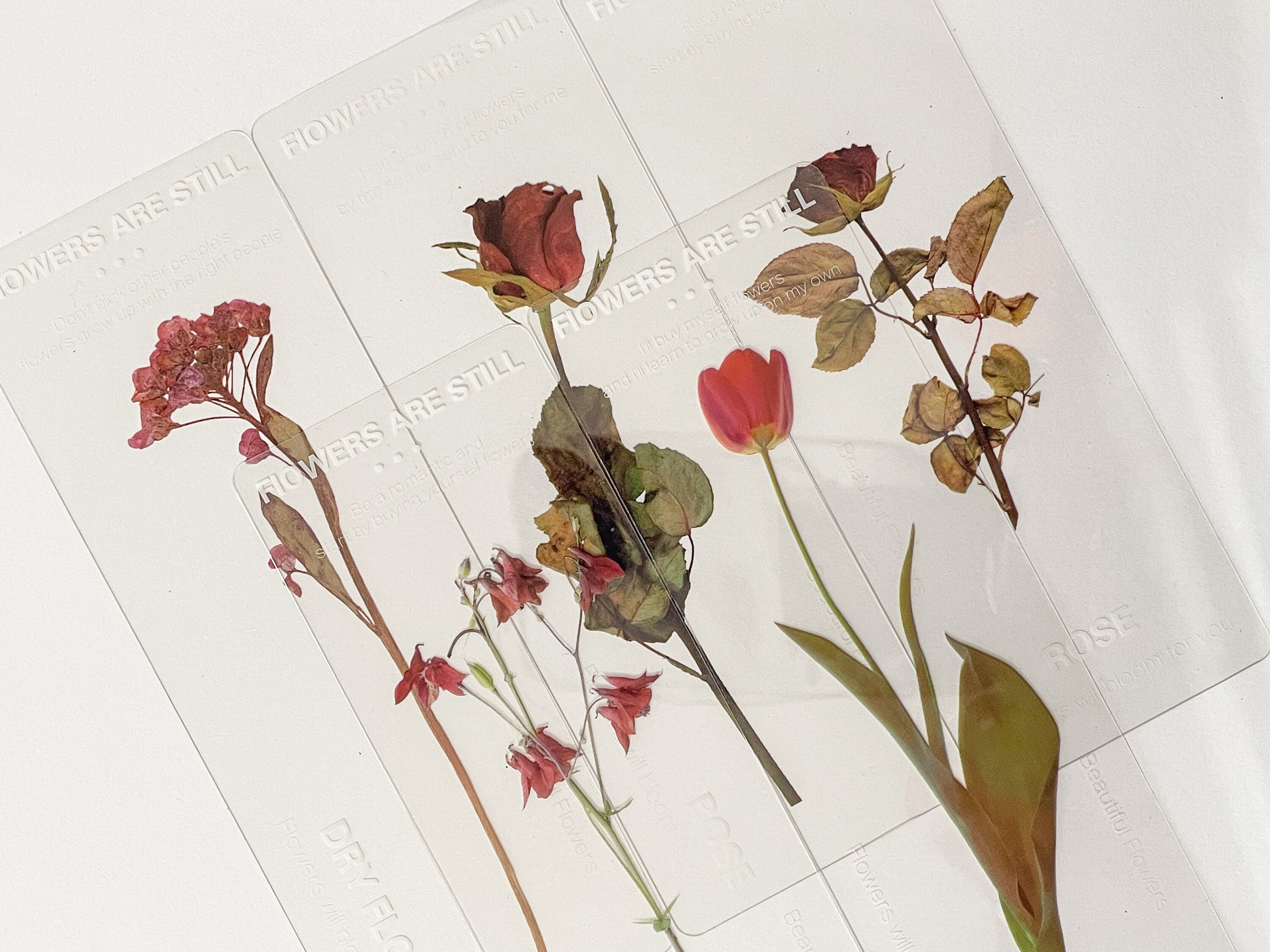 10 Transparent Flower Bookmark PET Unique Botanical Page Marker for ...