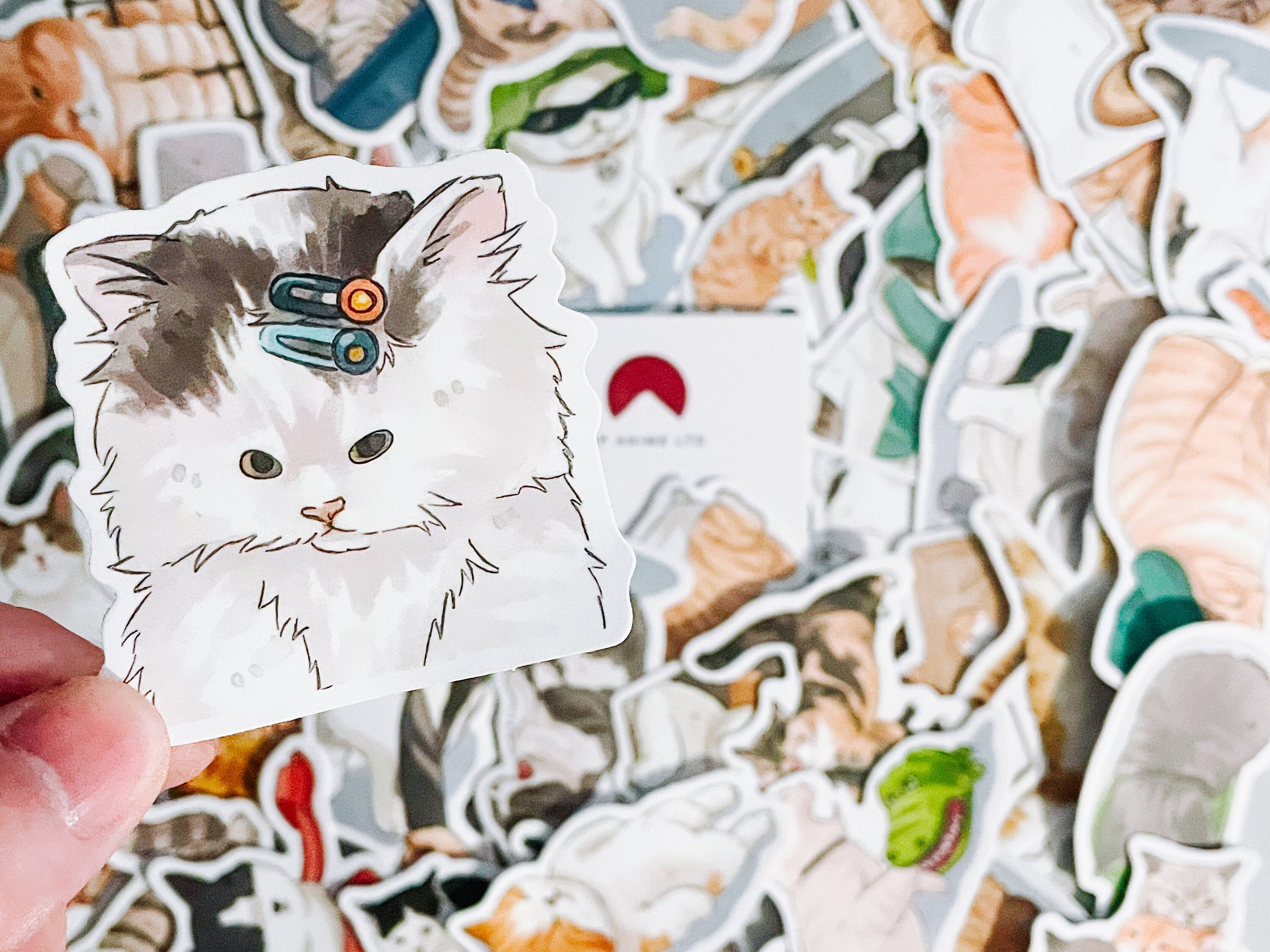 10 Random Cat Memes Stickers Meme Stickers - Etsy