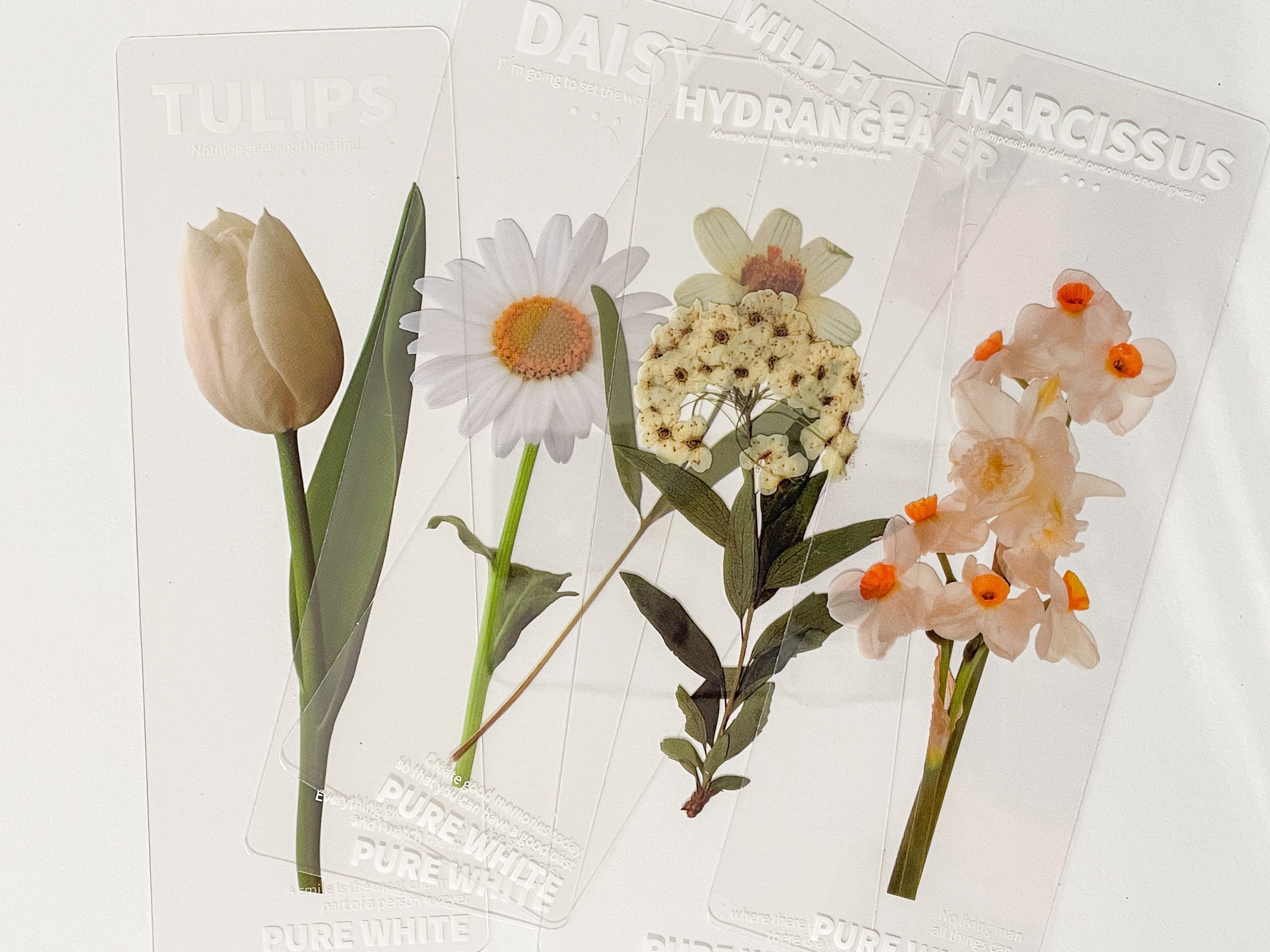 10 Transparent Flower Bookmark PET Unique Botanical Page Marker for ...