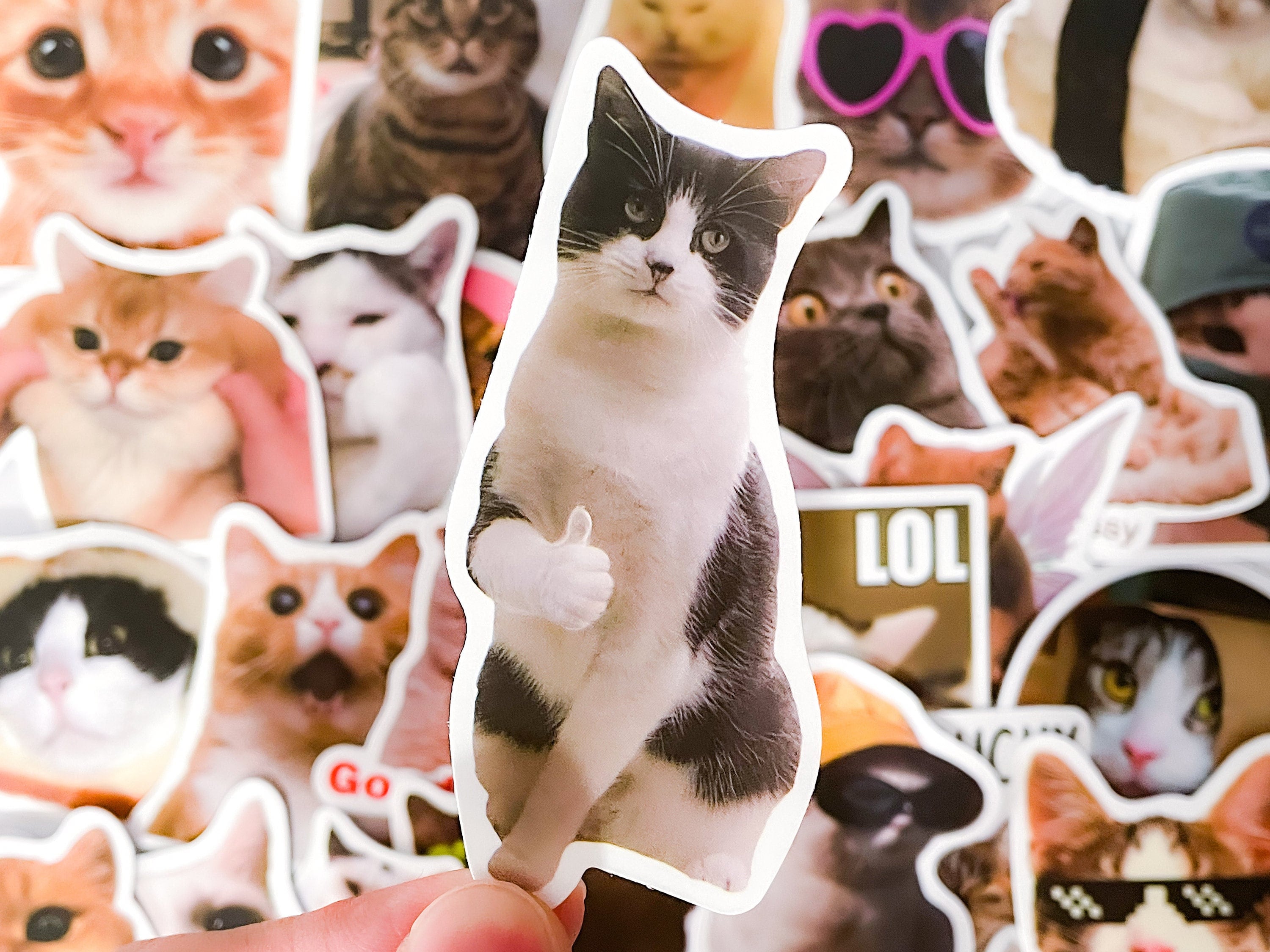 10 Cat Memes Sticker Set - Etsy