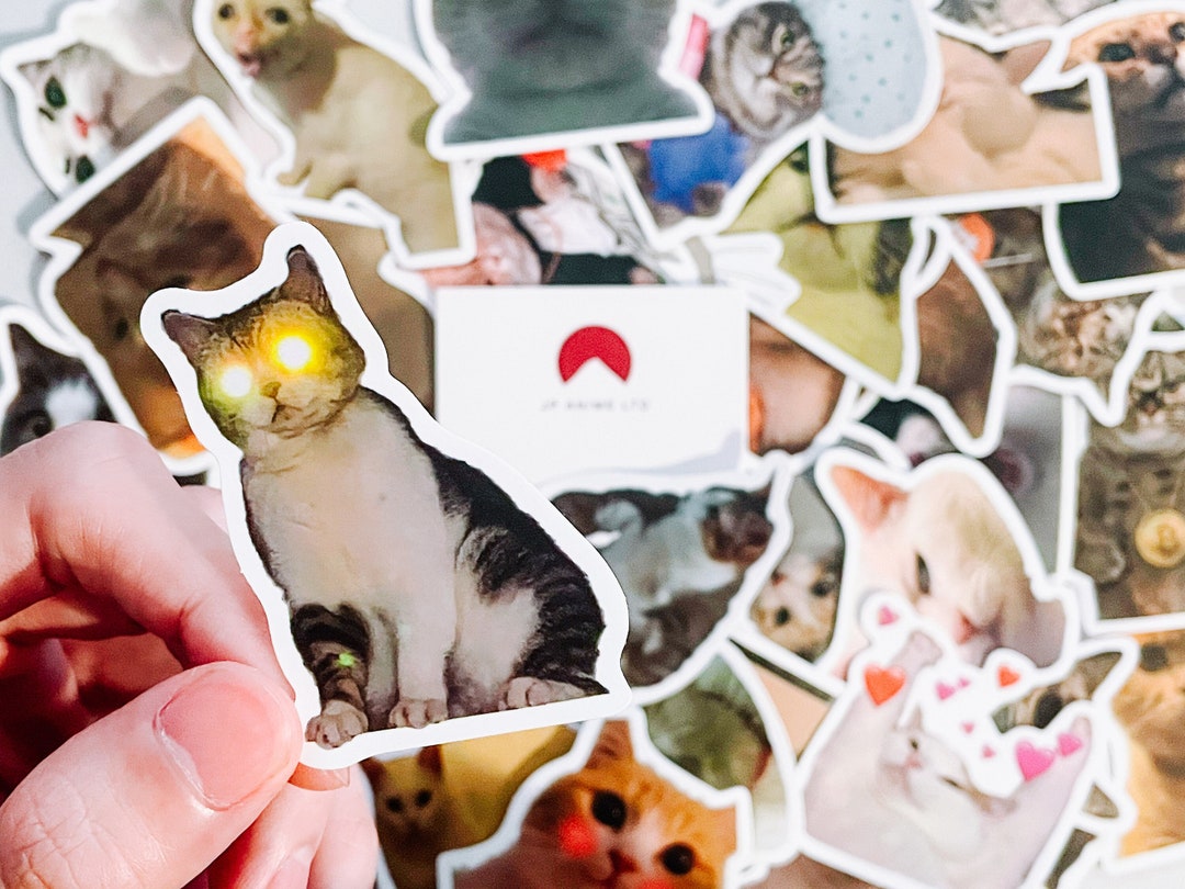 10 Random Cat Memes Funny Meme Sticker Bomb Pack - Etsy