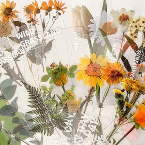 10 Transparent Flower Bookmark PET Unique Botanical Page Marker for ...