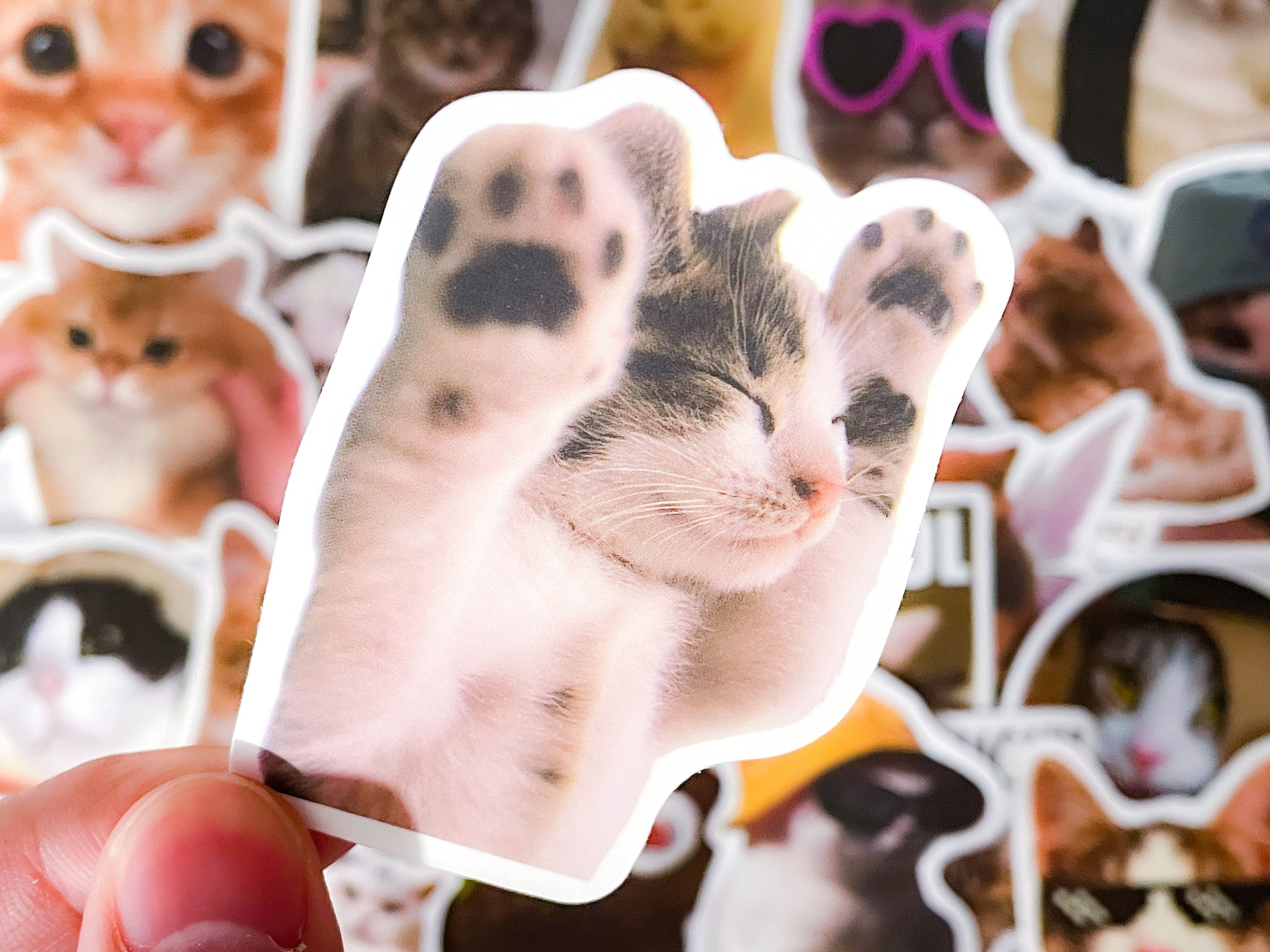 10 Cat Memes Sticker Set - Etsy