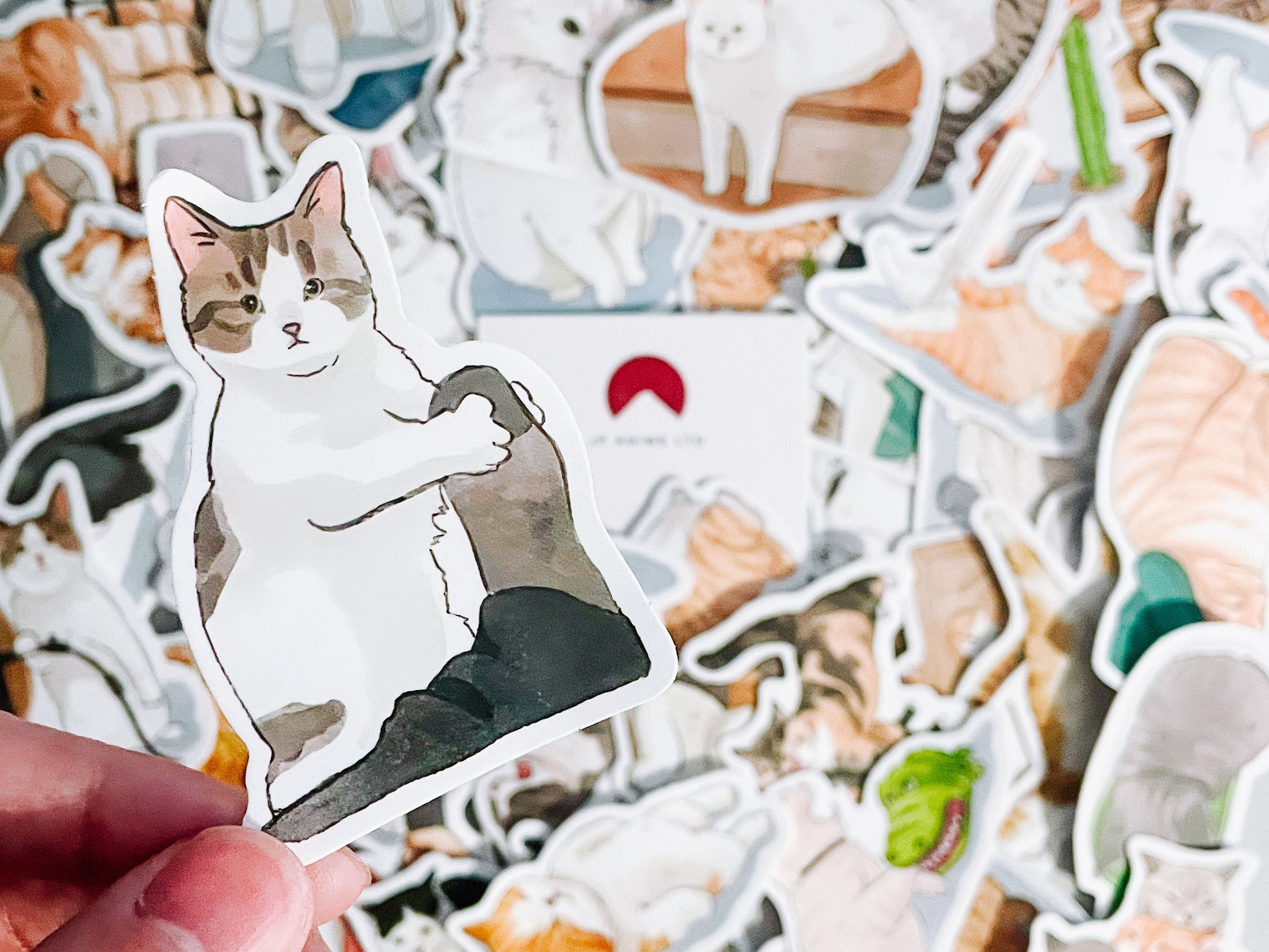 10 Random Cat Memes Stickers Meme Stickers - Etsy