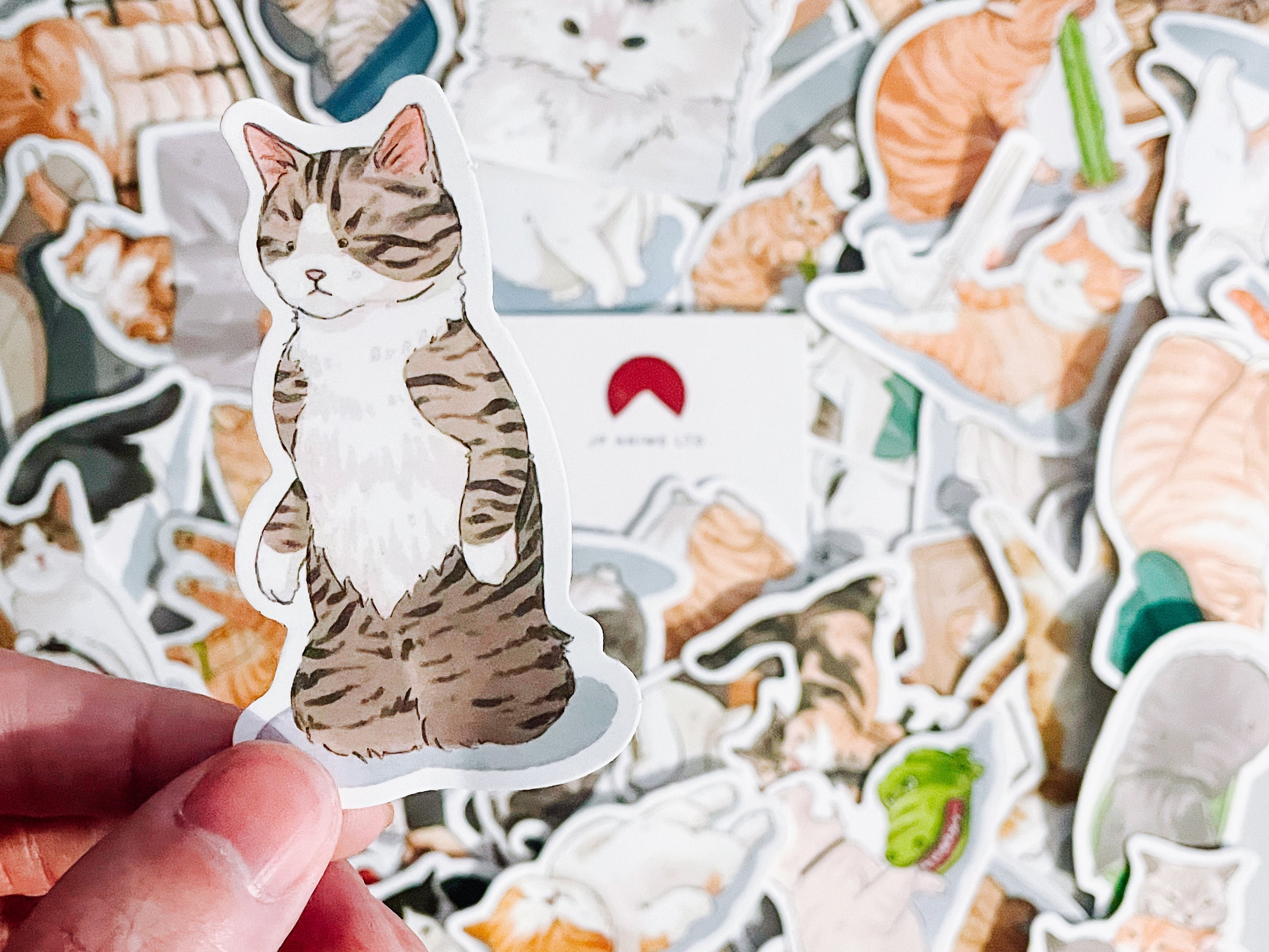 10 Random Cat Memes Stickers Meme Stickers - Etsy